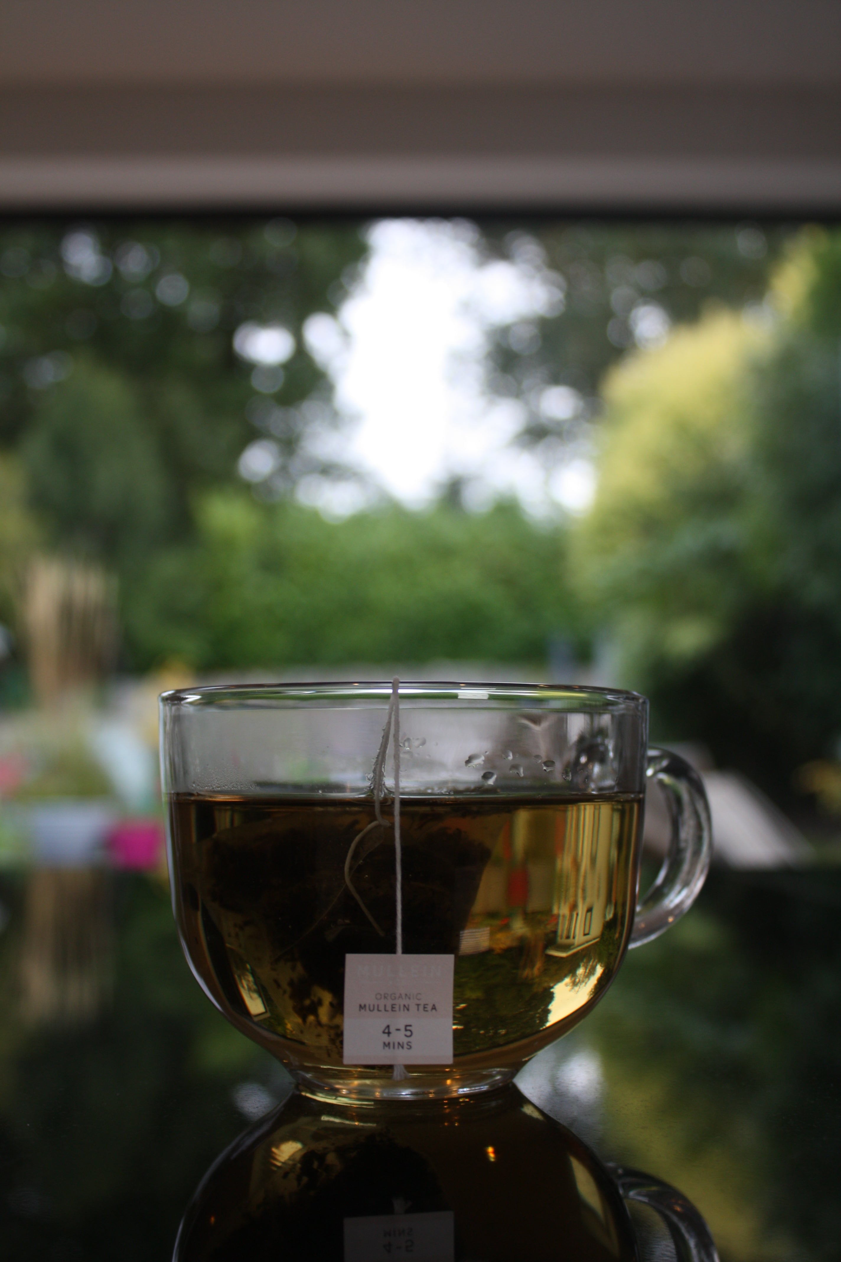How Long Does Mullein Tea Take to Work? From The Experts! – Mullein & Co.
