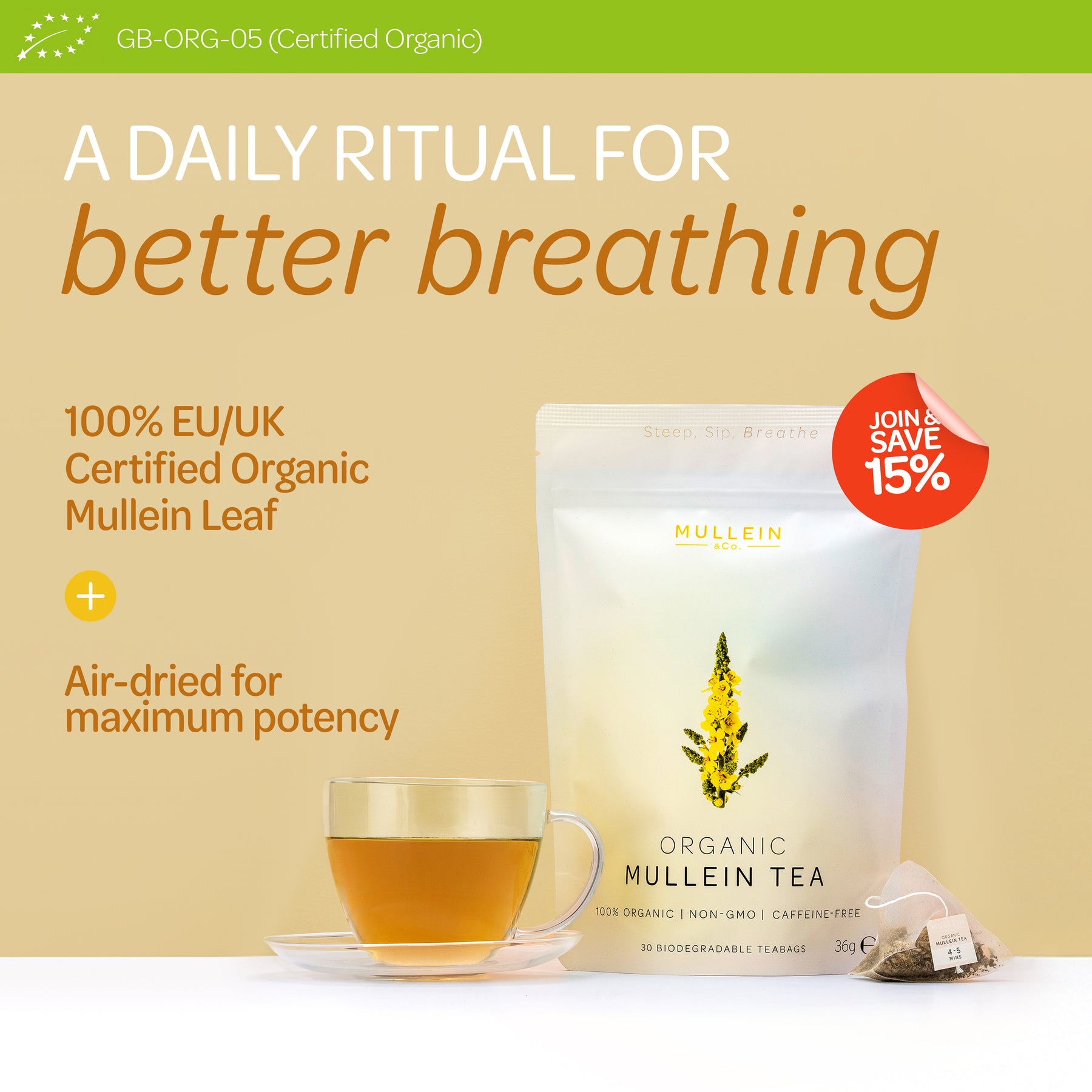Is Mullein Tea Safe For Kids? Age Groups & Practical Tips – Mullein & Co.
