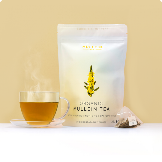 Is Mullein Tea Safe For Kids? Age Groups & Practical Tips – Mullein & Co.